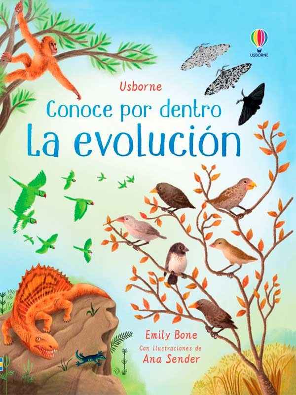 La evolución – Contrapunto