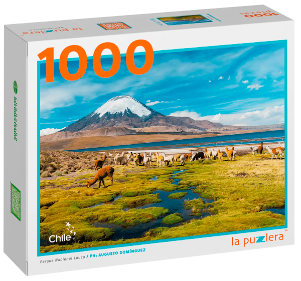 Puzzle parque nacional Lauca – Contrapunto