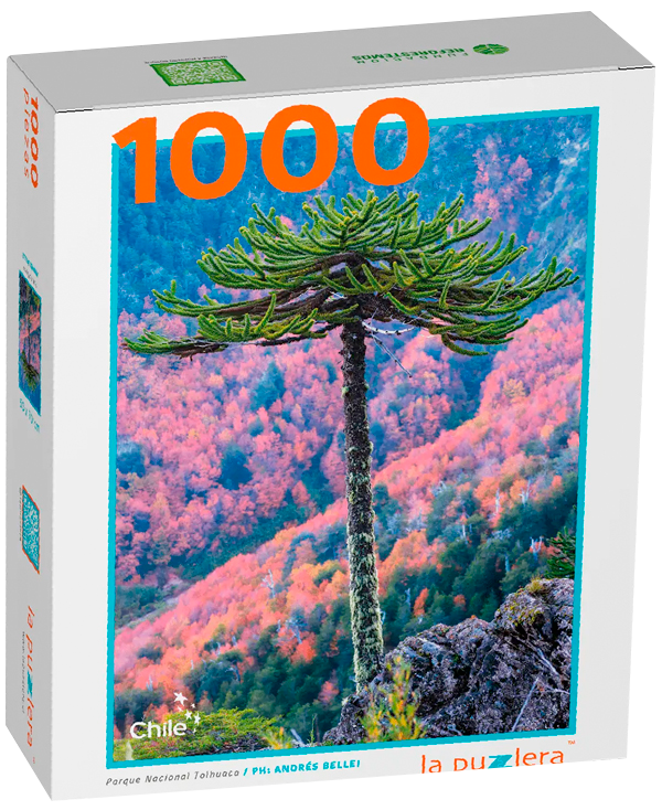 Puzzle parque nacional Tolhuaca – Contrapunto