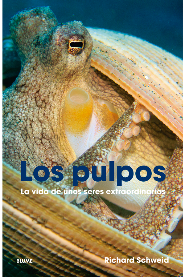 Los pulpos – Contrapunto