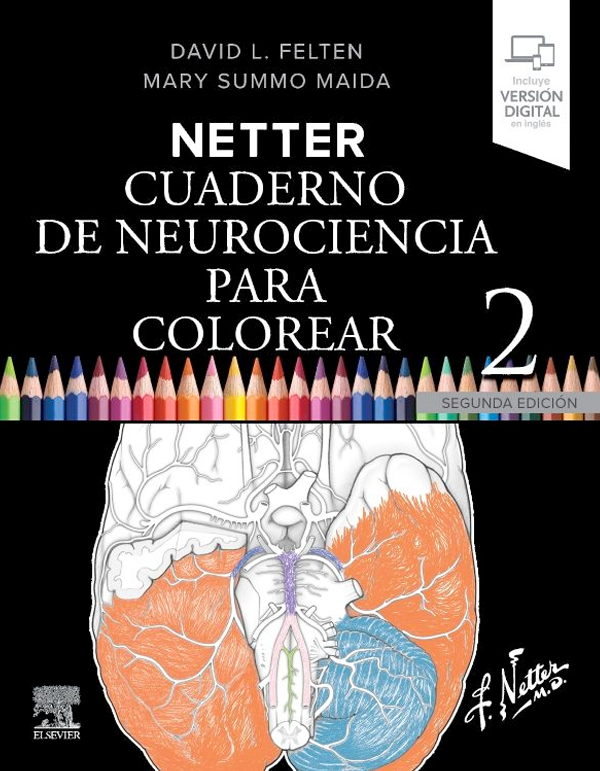 Netter. Cuaderno de neurociencia para colorear 2ª Ed. – Contrapunto