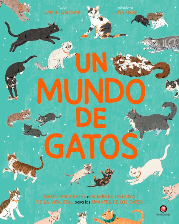 Un mundo de gatos – Contrapunto