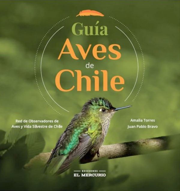 Guía aves de Chile – Contrapunto
